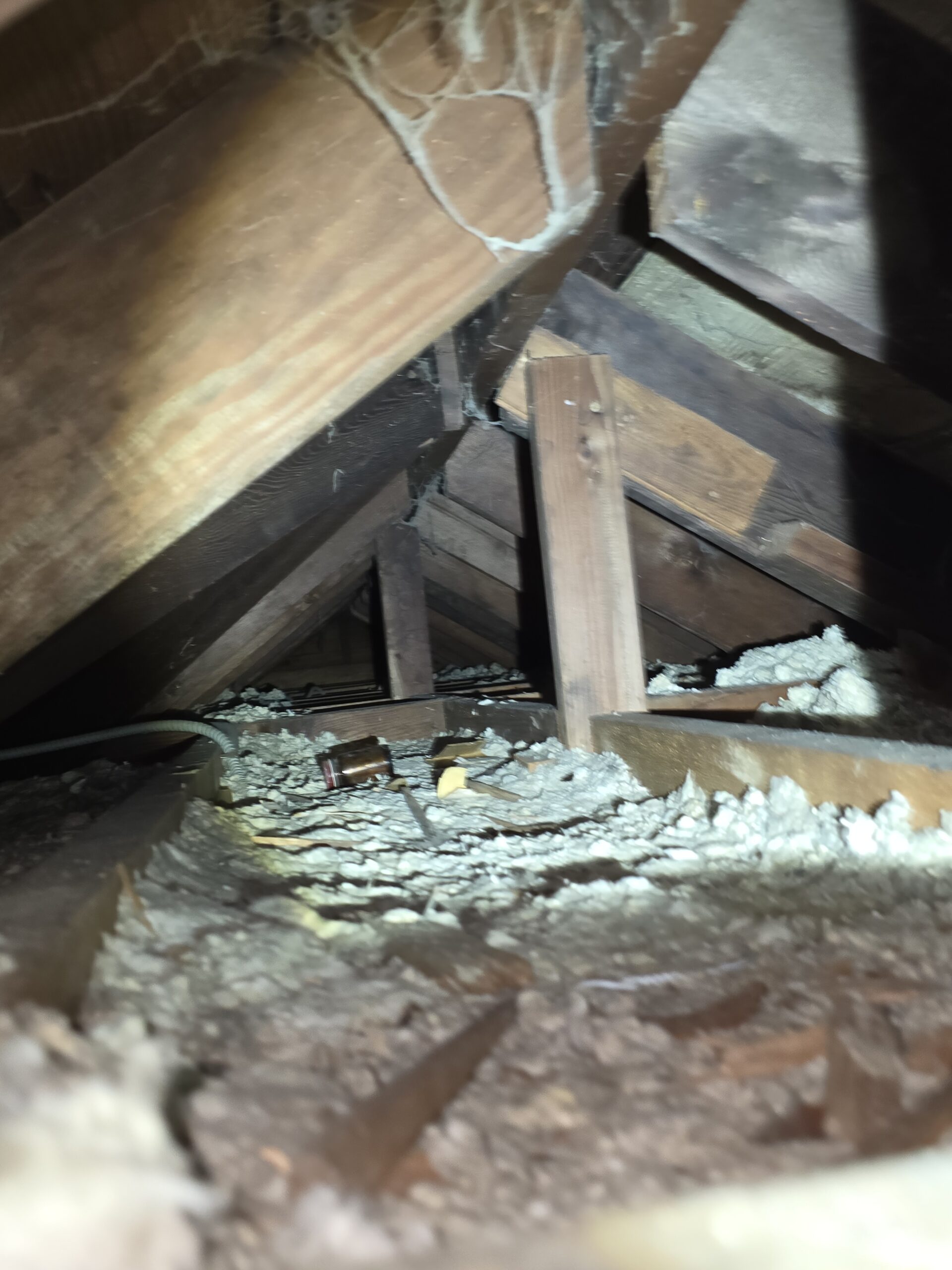 Photo Evidence of Raccoon Damage in Attic - Raccoon Inspection in New ...