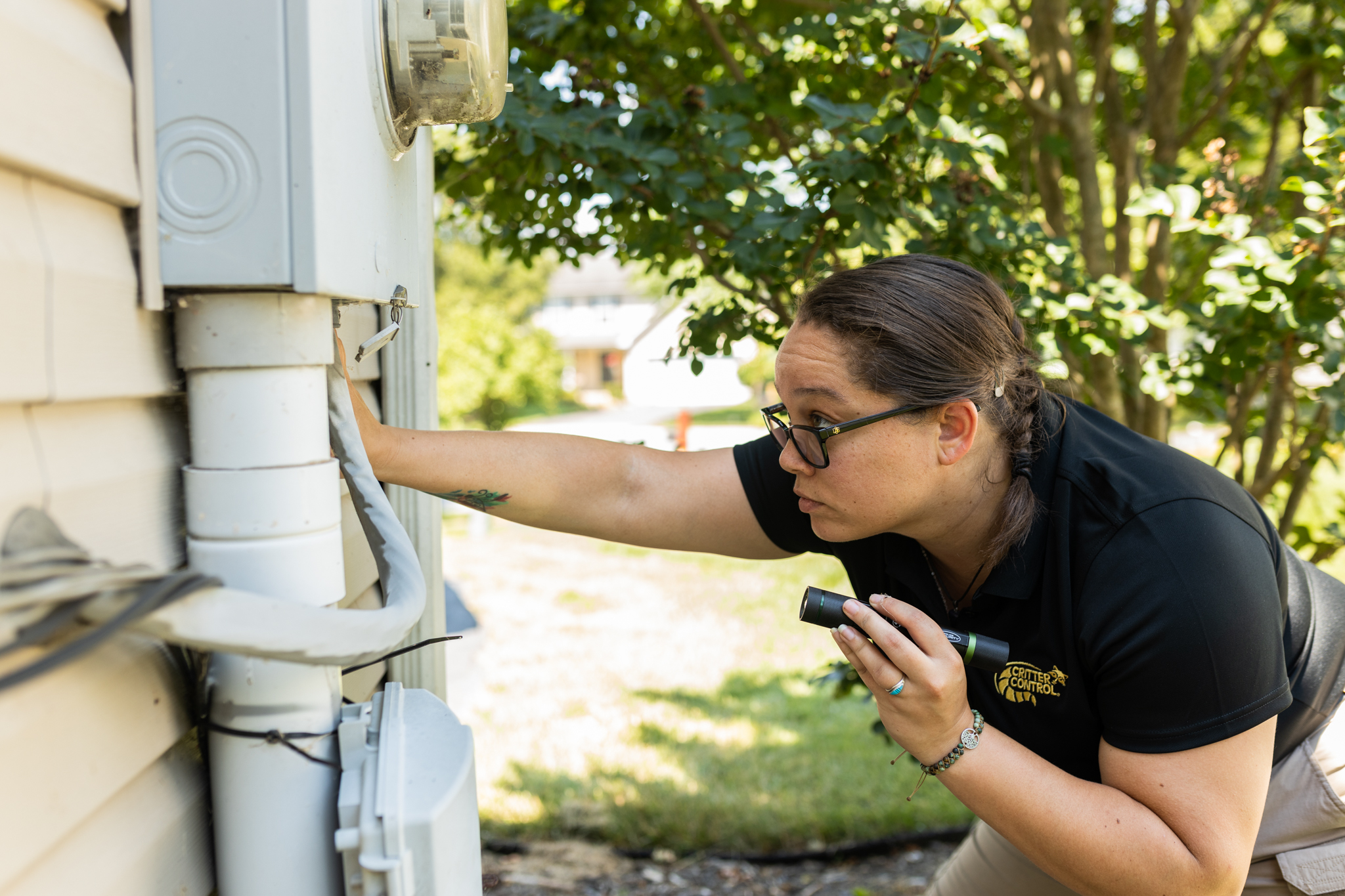 The Dangers of Pest and Animals in Plumbing and Pipes - Critter Control