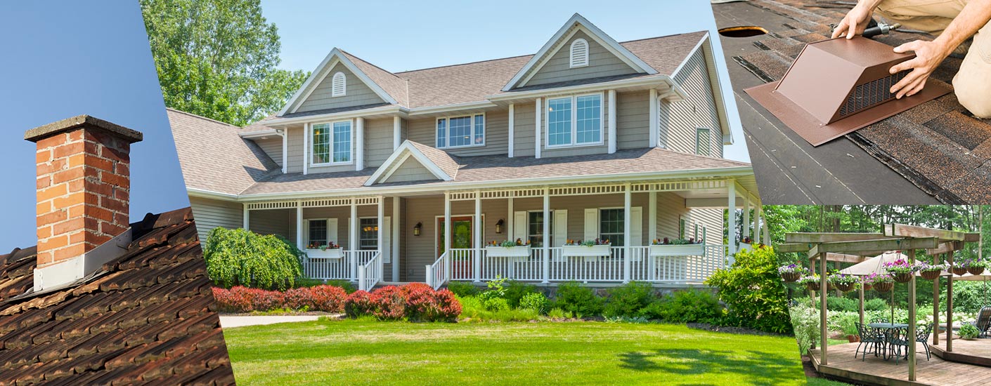 Critter Control - The Best Wildlife Removal Company Near