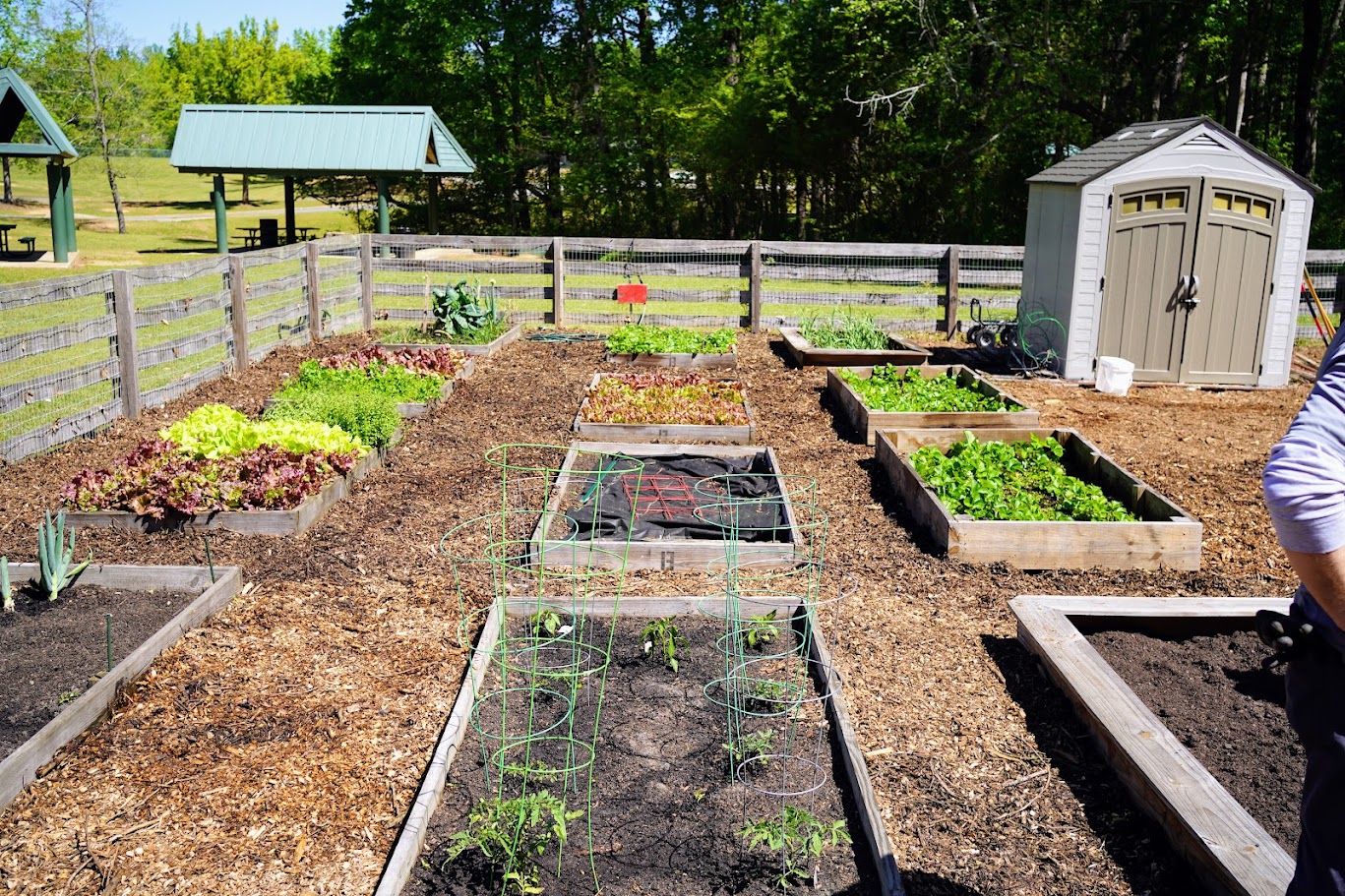 Critter Control + Keep Cobb Beautiful - Critter Control