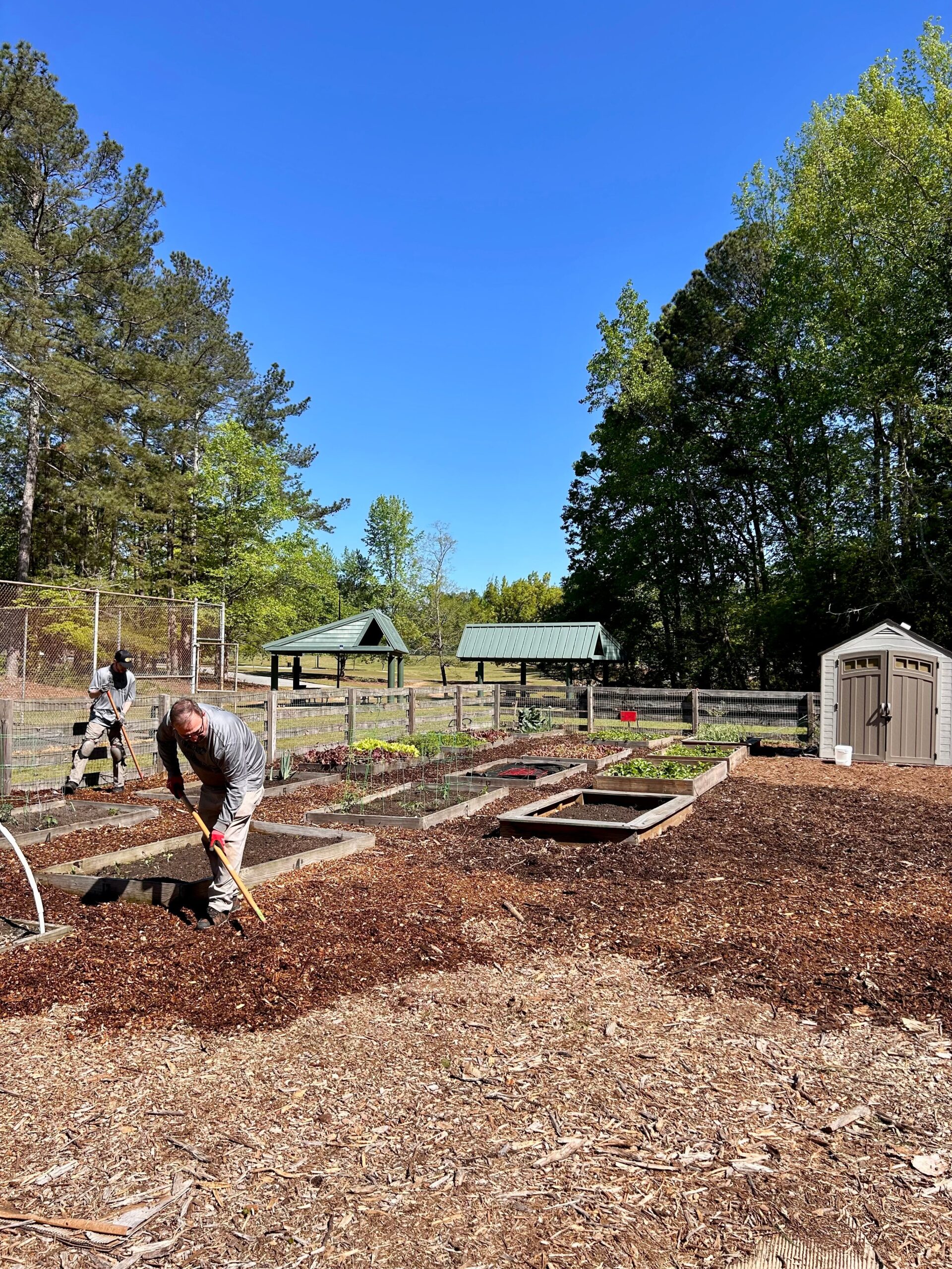 Critter Control + Keep Cobb Beautiful - Critter Control