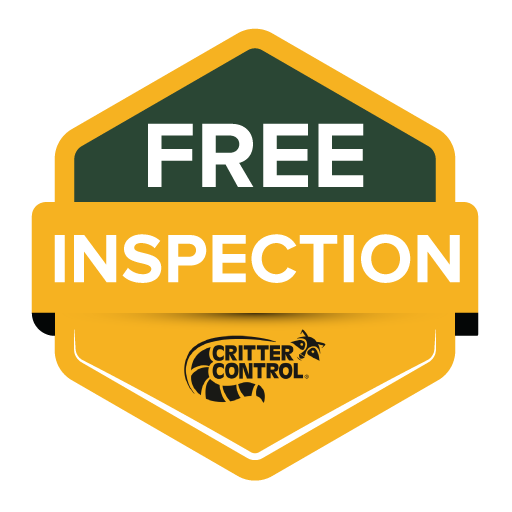 Wildlife Removal in Atlanta - Critter Control - Guaranteed Services