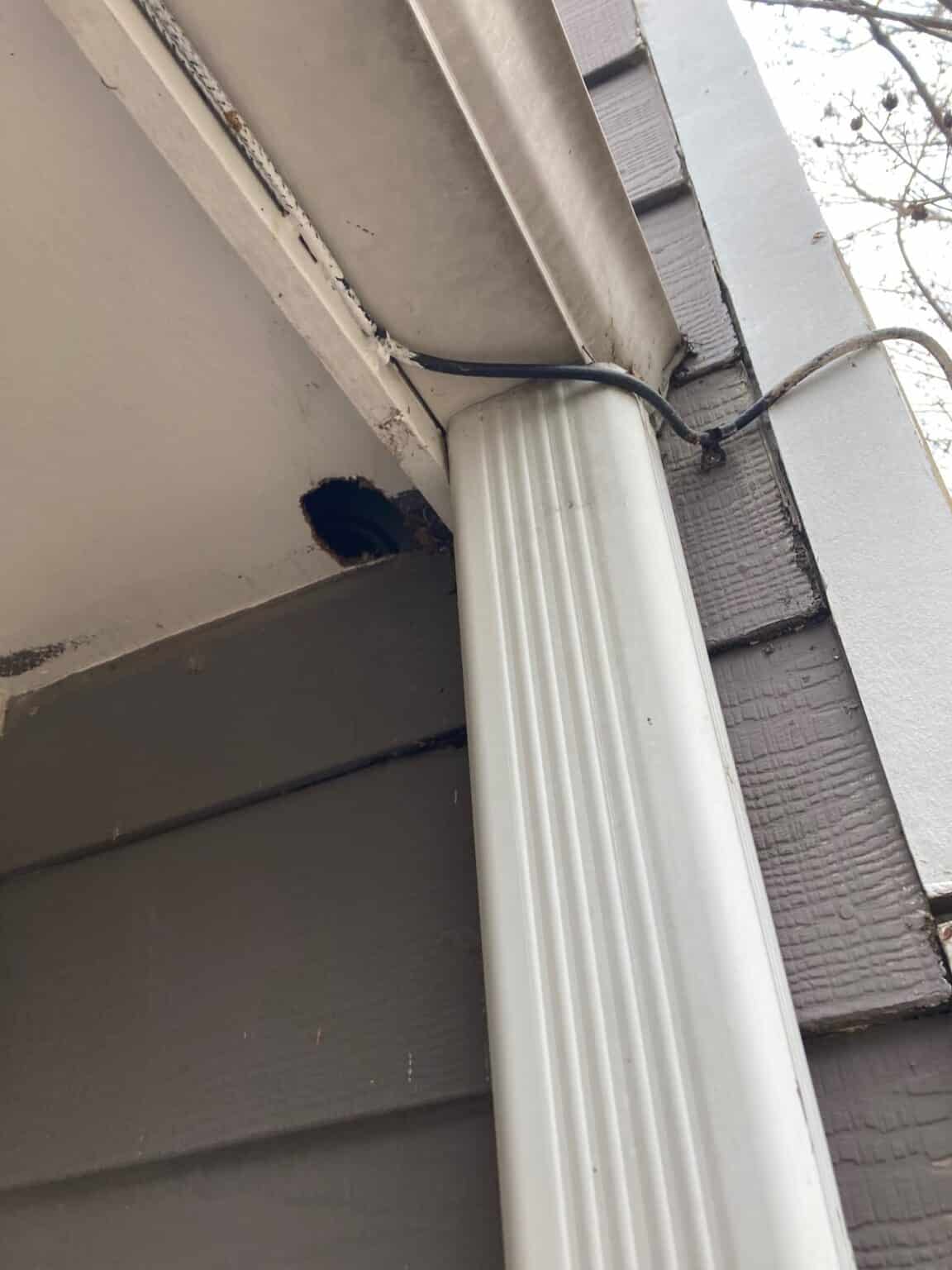 Can squirrels cause damage to your house? - Identify squirrel damage to ...