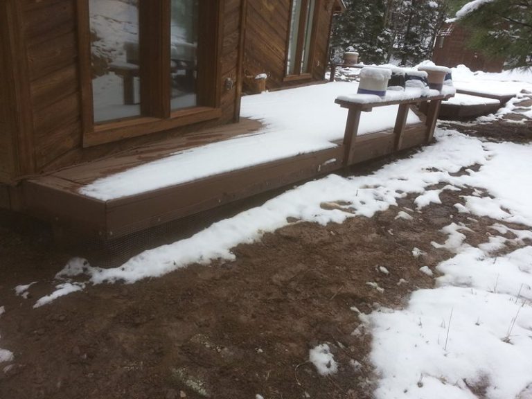 How to Catch a Skunk under a Deck in Santa Fe - Critter Control