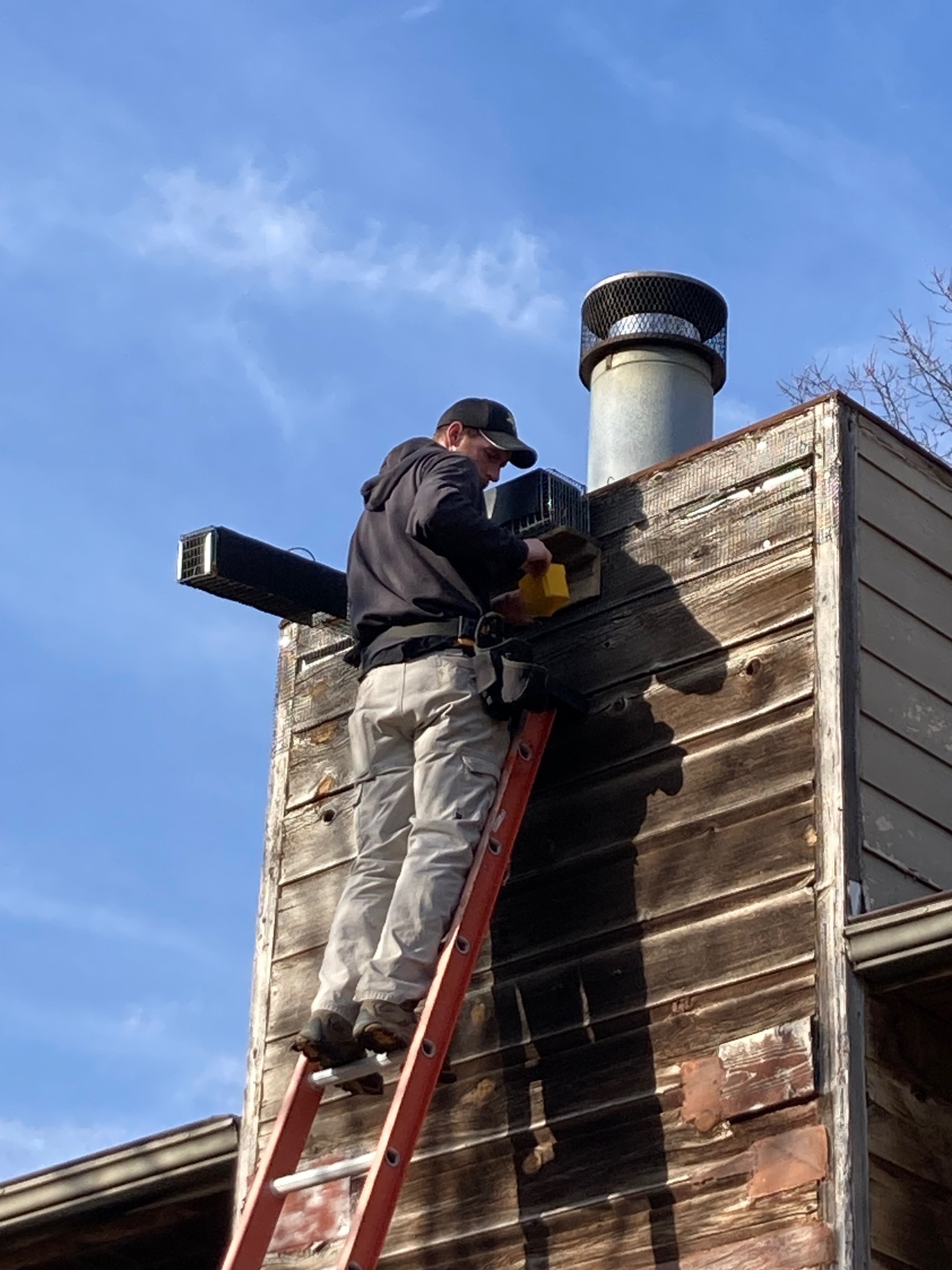 Animal Removal from Chimney - Critter Control