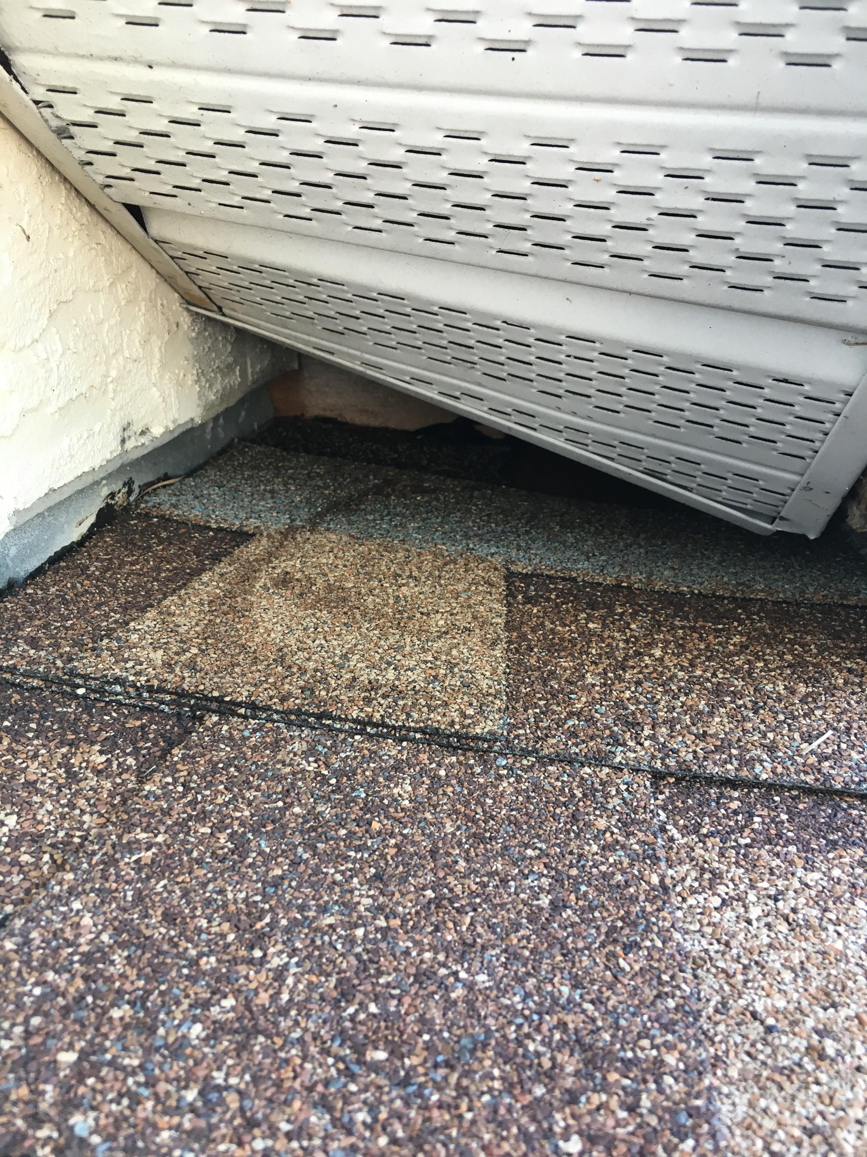 Gallery: Wildlife Damage to Homes