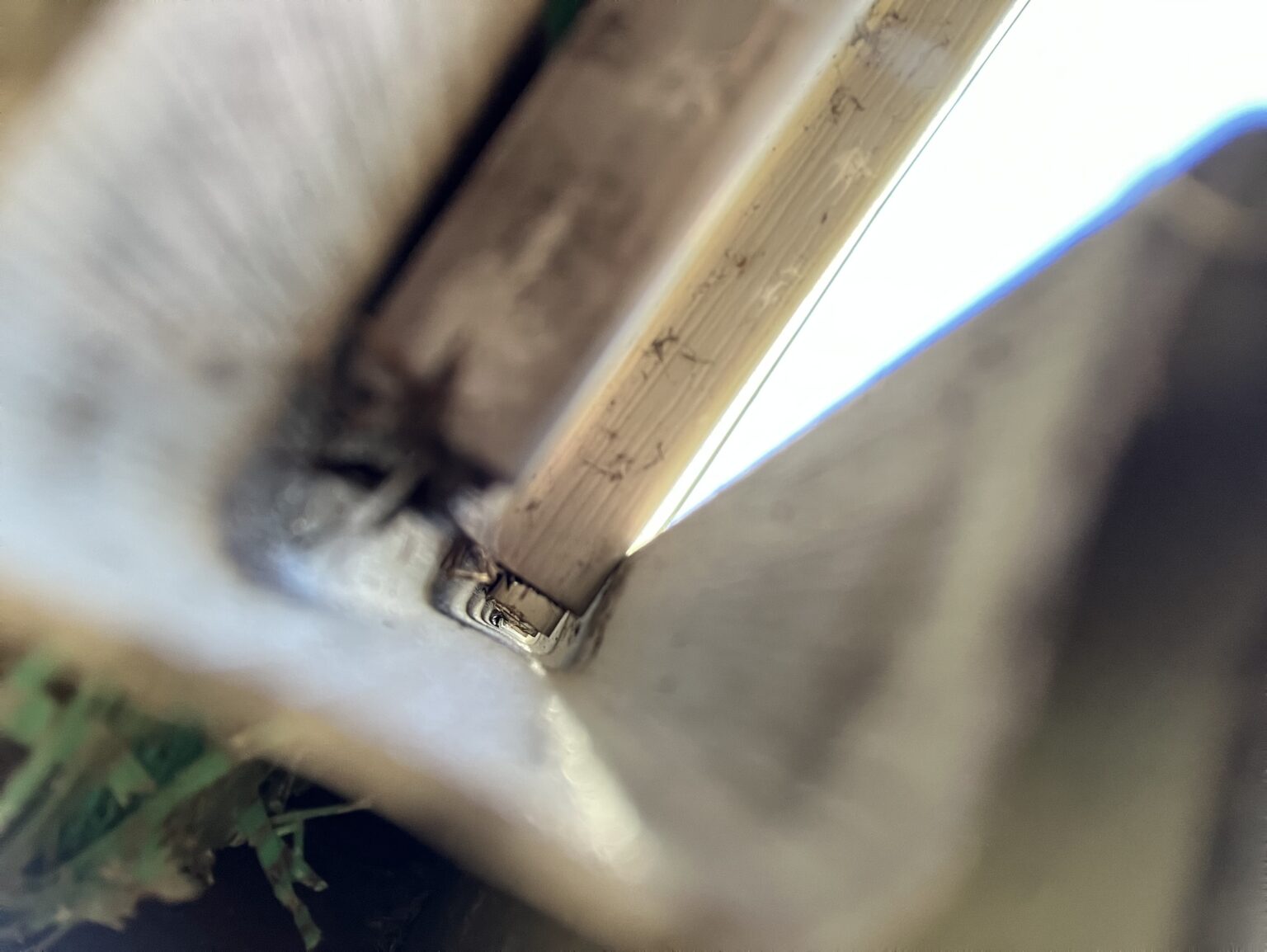 Rodent Control in Chicago - Critter Control