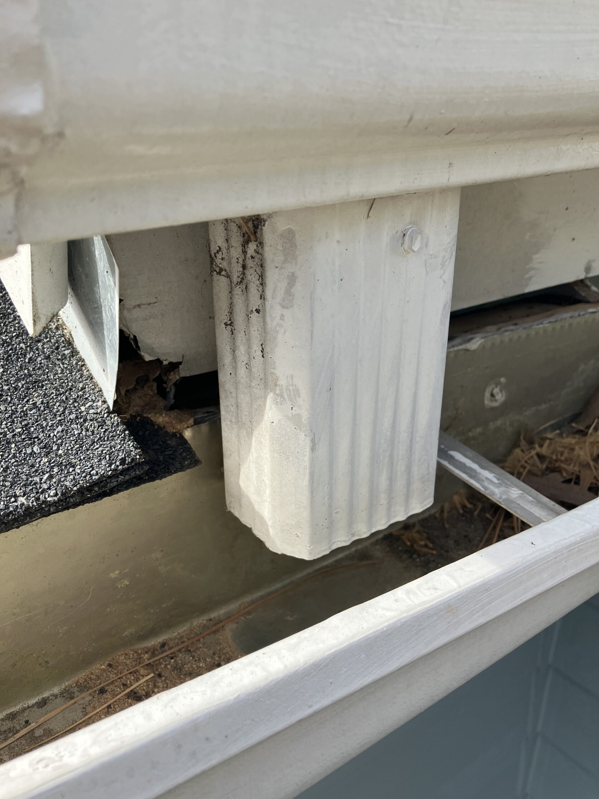 How Bats Get Inside : Photo Guide to Bat Entry Points - Critter Control Triangle