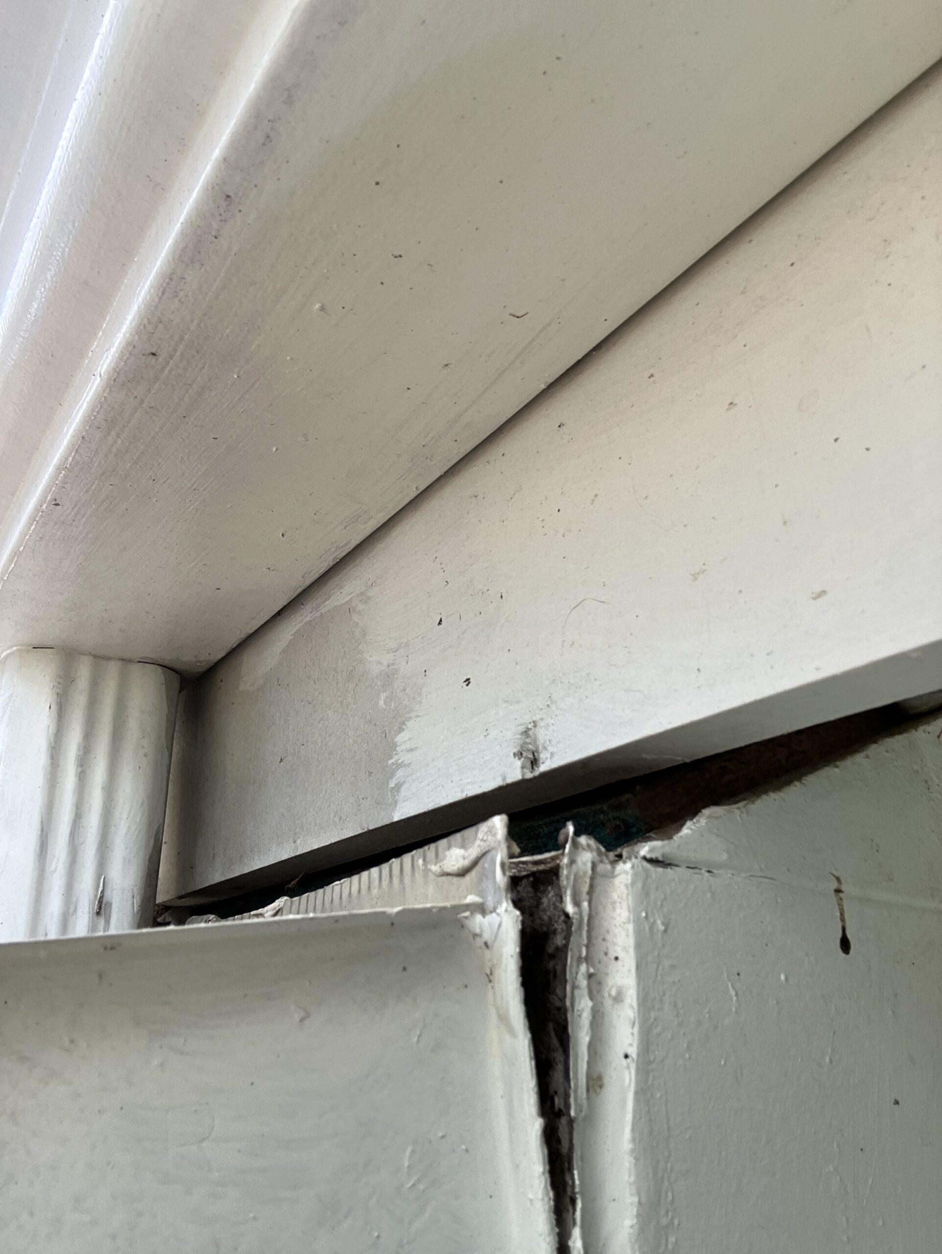 How Bats Get Inside : Photo Guide to Bat Entry Points - Critter Control ...