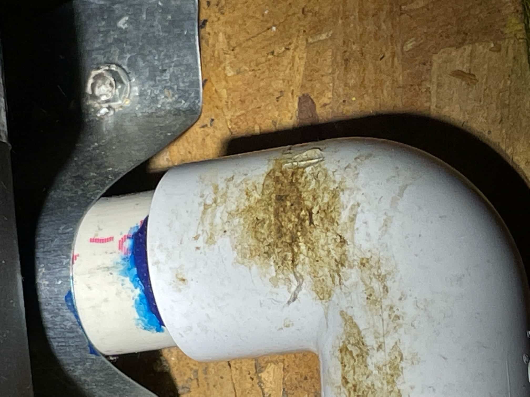 The most obvious signs of animals in attic - Critter Control