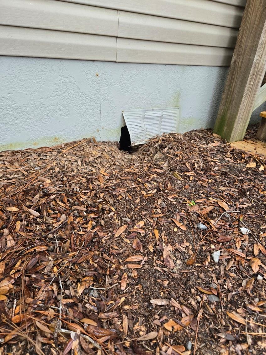 How to Get Rid of Animals from Getting Under Your Home | Critter Control