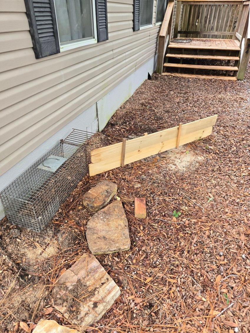 Effective Armadillo Control Methods for Your Property