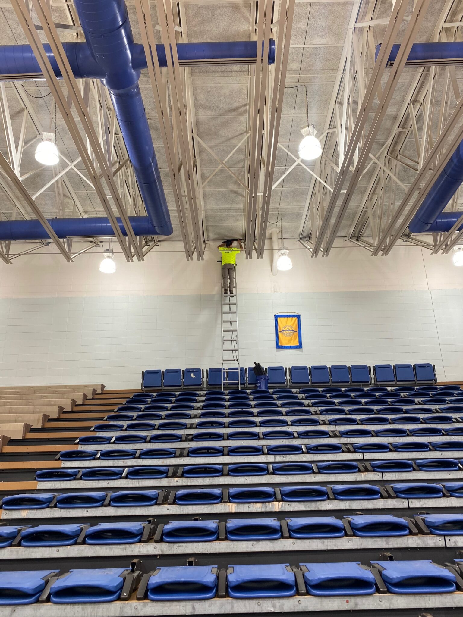 What To Do When You Find Bats in the School - Critter Control - Expert ...