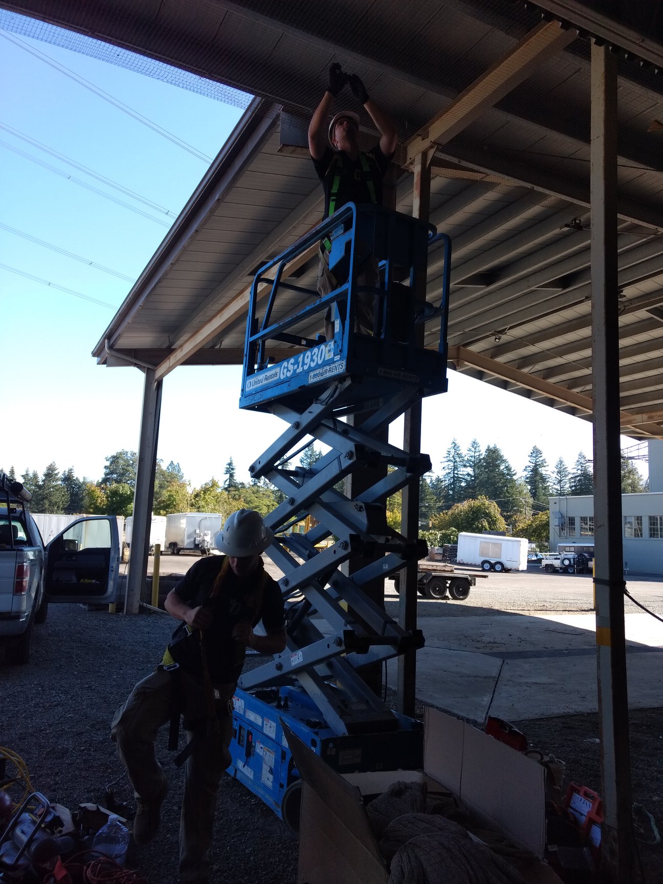 Commercial Bird Control for Power Plant in Seattle - Critter Control