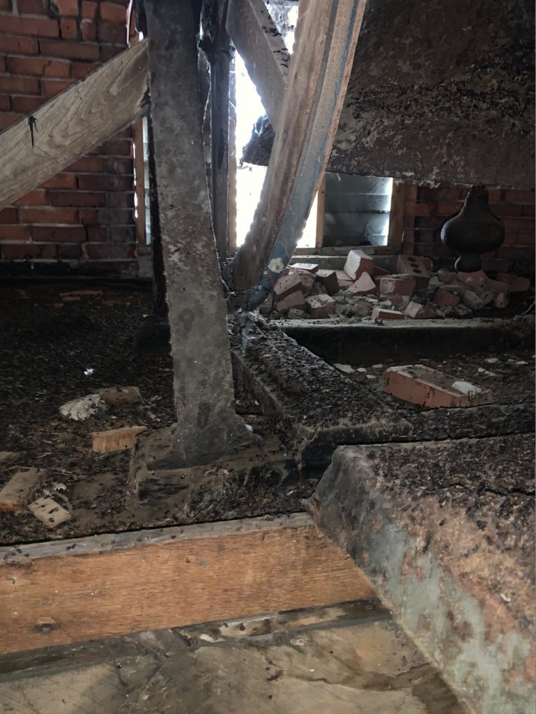 Gallery: Wildlife Damage to Homes