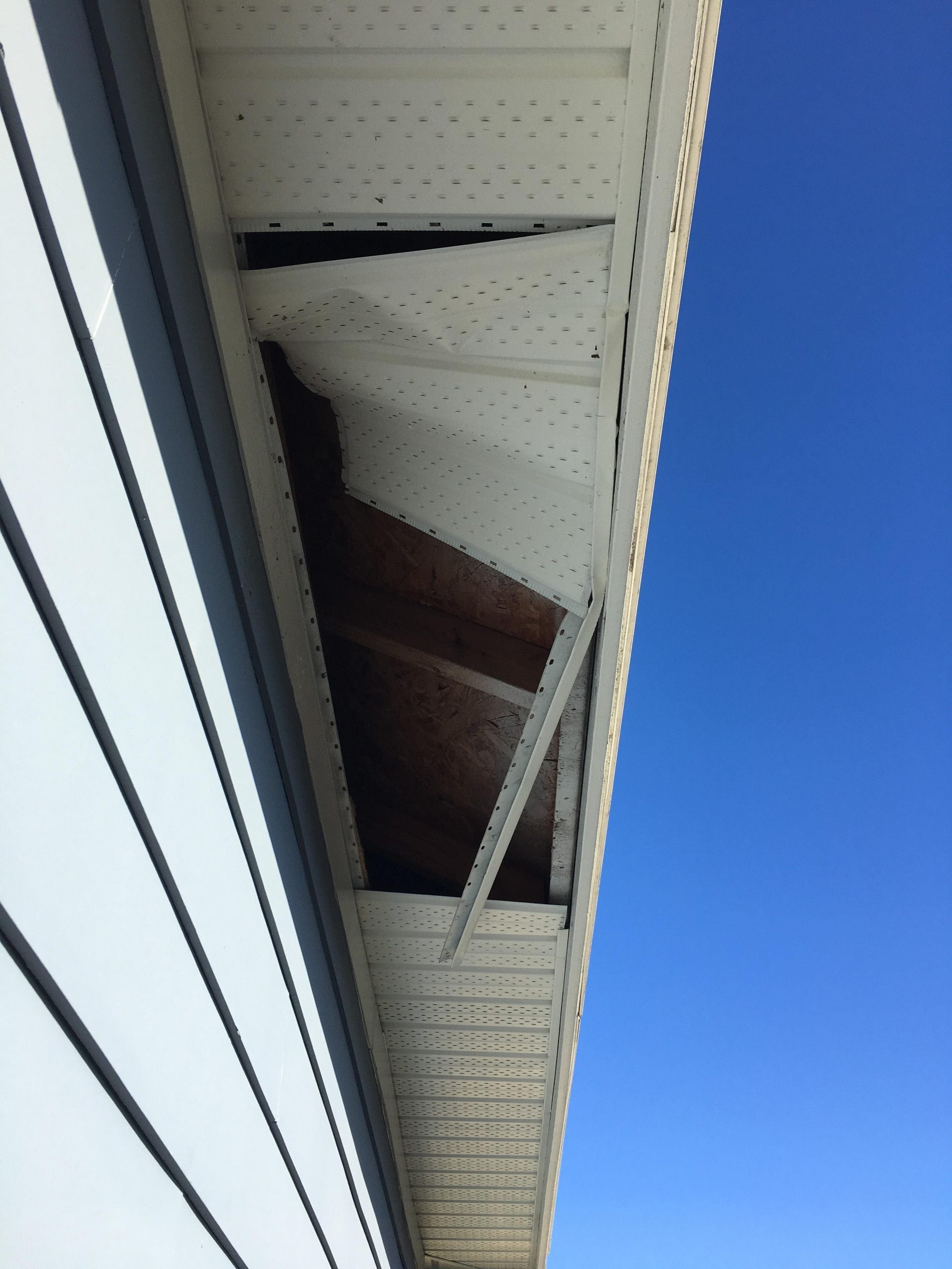 Gallery: Wildlife Damage to Homes