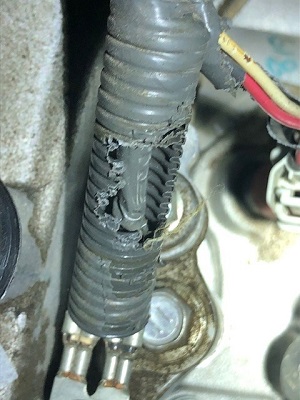 How to Get Rid of Rats in the Car - Critter Control - Rats int he Car