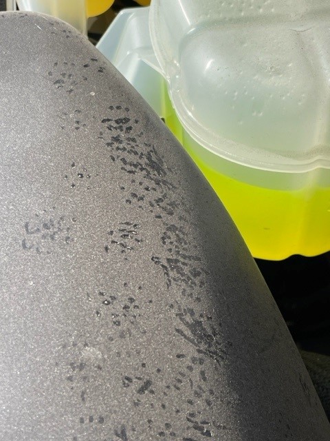 Professional Rat Removal - Critter Control near you - Identifying Rat ...