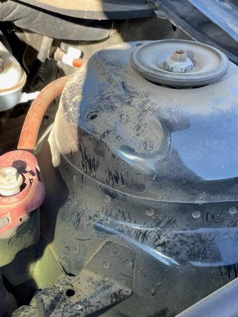 Professional Rat Removal - Critter Control near you - Identifying Rat ...