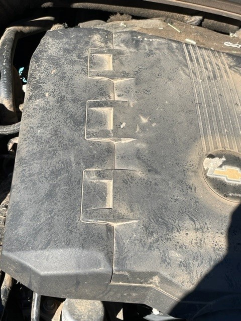 Professional Rat Removal - Critter Control near you - Identifying Rat ...