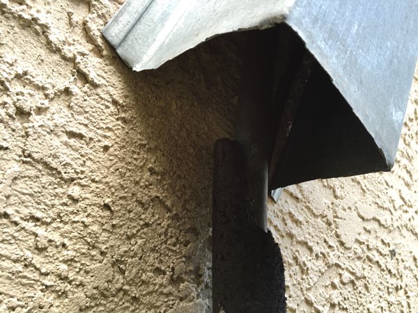 Get Rid of Squirrels in Vents: Problems & Removal