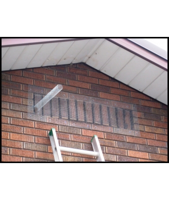 Bat Removal in Atlanta - Critter Control - Free Inspection