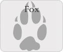 Identify Fox Noises on Your Property and in the Yard - Recognize Fox ...