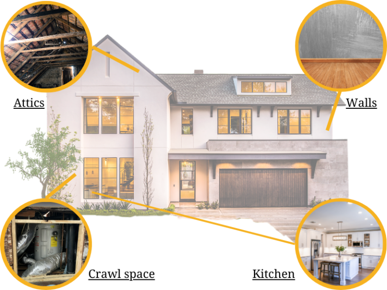 Mice Hiding Spots: Where They Hide & Removal | Critter Control