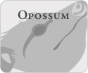 Opossum Sounds & Noises: What Do Opossums Sound Like?