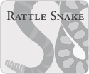 Rattlesnake Sounds: What Does a Rattlesnake Sound Like?