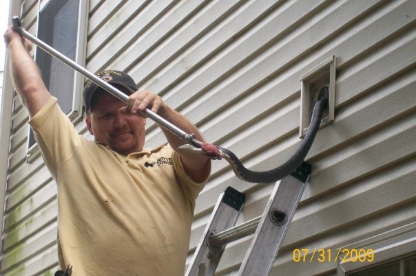 Snakes in Your Attic: Entry & Removal | Critter Control