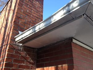 How Do Squirrels Get in My Roof and Soffits? - Critter Control ...