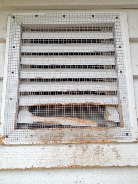 Wildlife Pest Control Resources | Critter Control