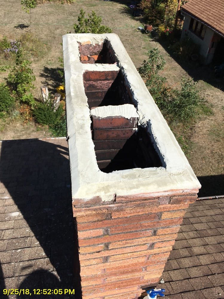 Squirrel in Chimney Removal in Portland, Oregon - Critter Control