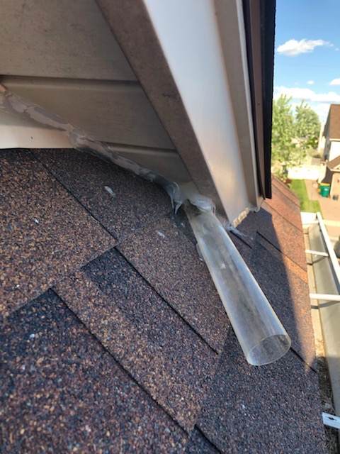 Bat Removal in Detroit - Critter Control