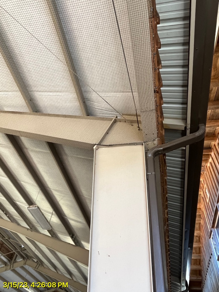 Wildlife Removal in Greenville, SC - Guaranteed Service - Critter Control