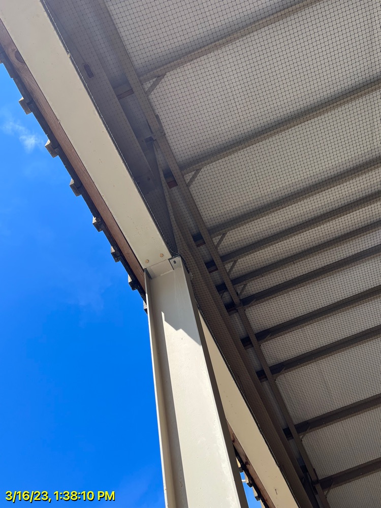 Wildlife Removal in Greenville, SC - Guaranteed Service - Critter Control