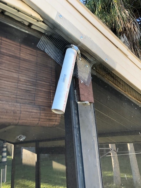 How to Get Rid of Bats in Your Home