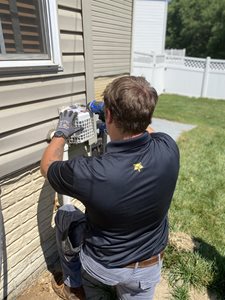 Get Rid of Squirrels in Vents: Problems & Removal