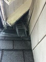 Trapping Squirrels - Humane Squirrel Traps - Critter Control