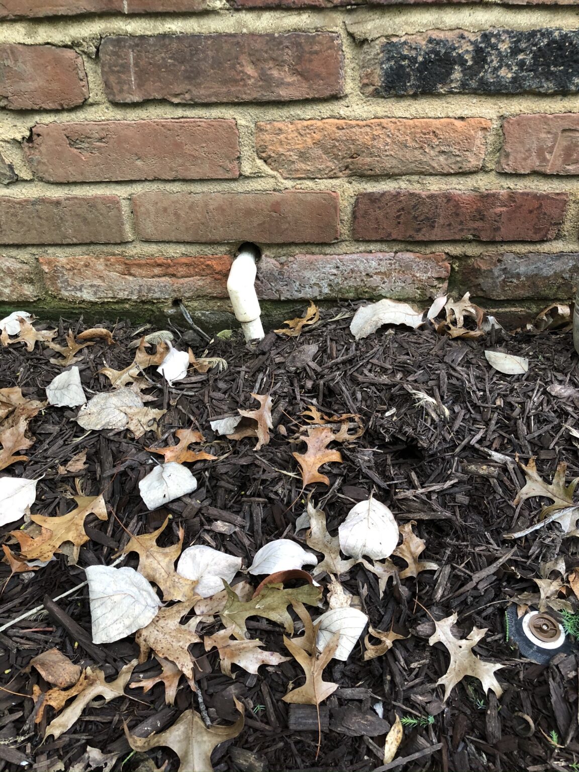 Animals in Air Ducts - Critter Control