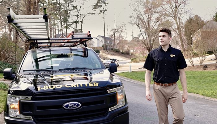 Critter Control - The Best Wildlife Removal Company