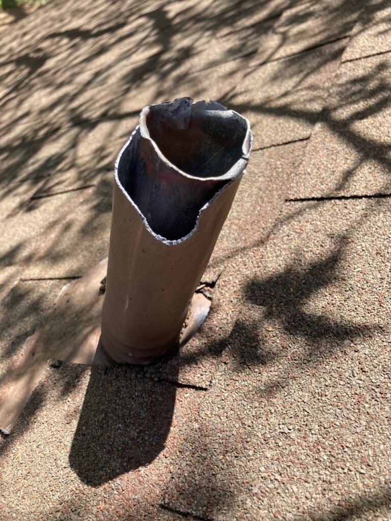 The Dangers of Pest and Animals in Plumbing and Pipes - Critter Control