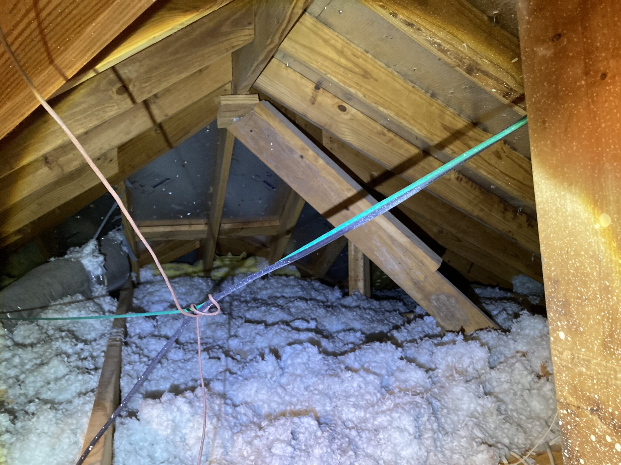 Photos of Rat Tunnels and Burrows in Attic Insulation