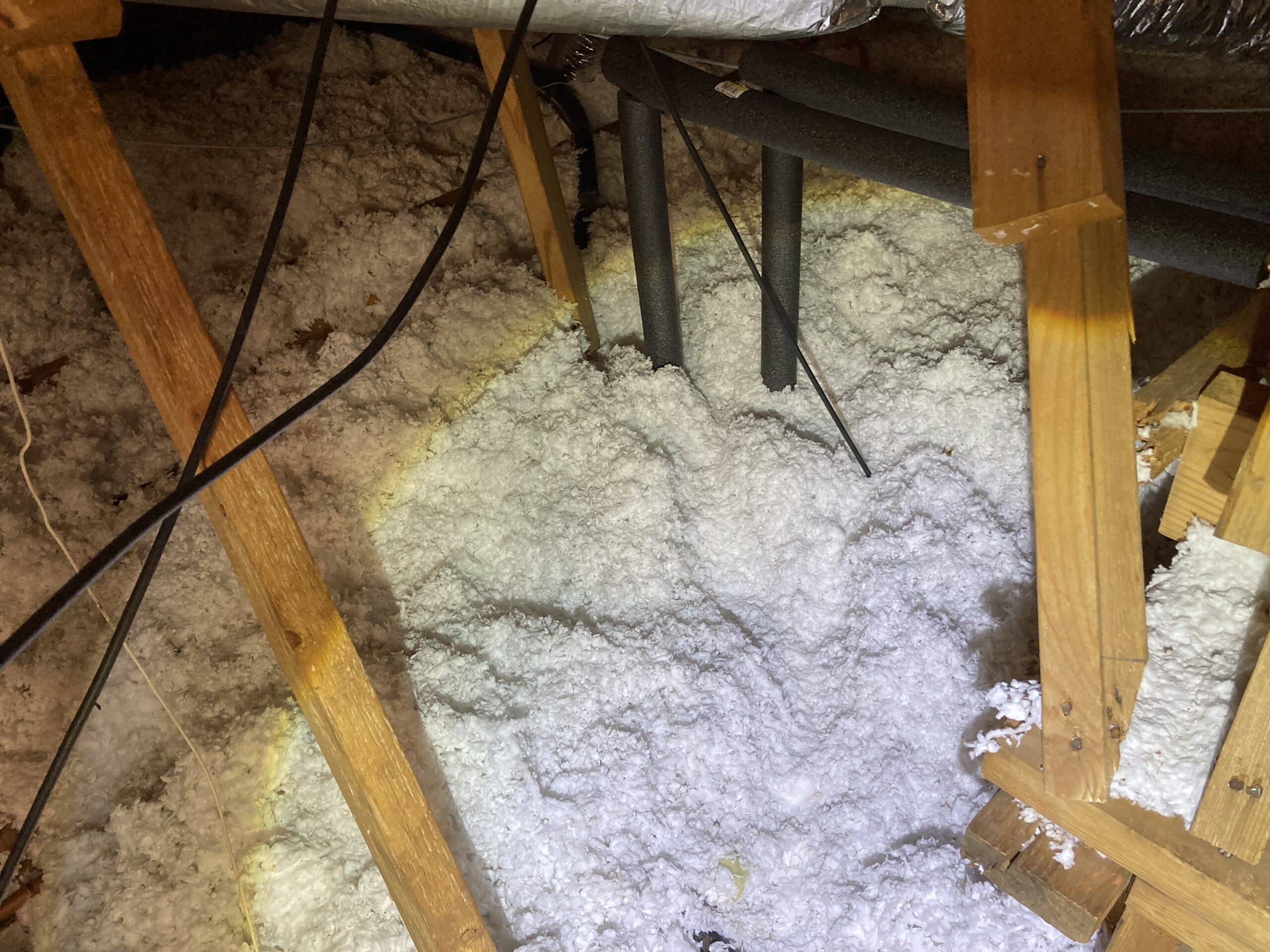 Photos of Rat Tunnels and Burrows in Attic Insulation