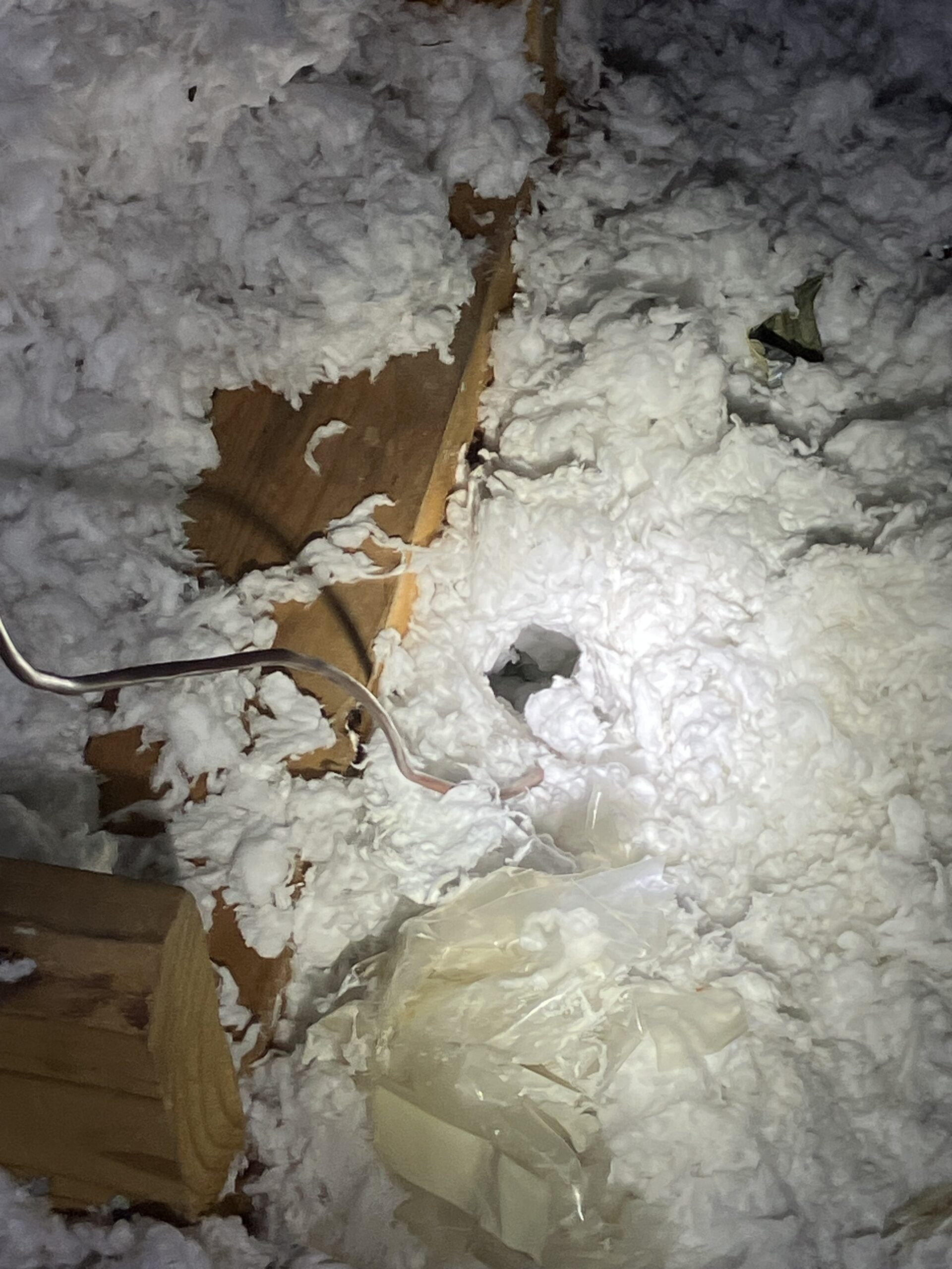 Photos of Rat Tunnels and Burrows in Attic Insulation