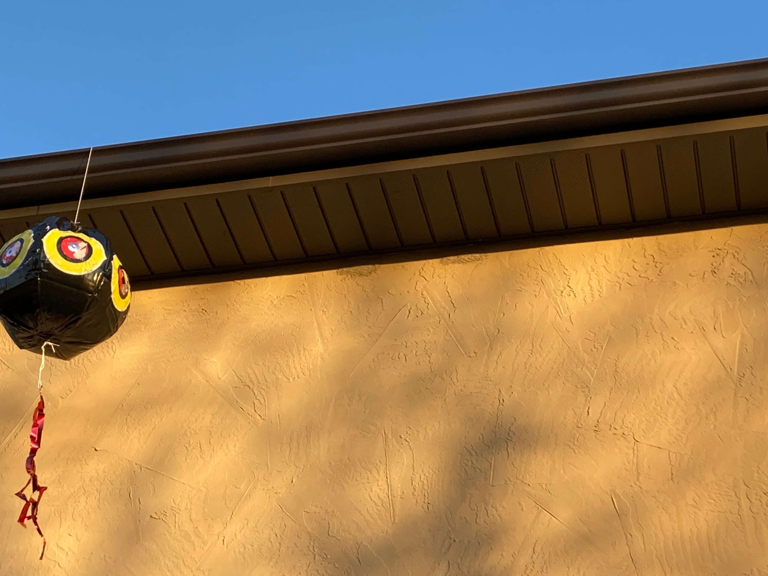 Bird Deterrents & Repellents - The Best Bird Control Products according ...